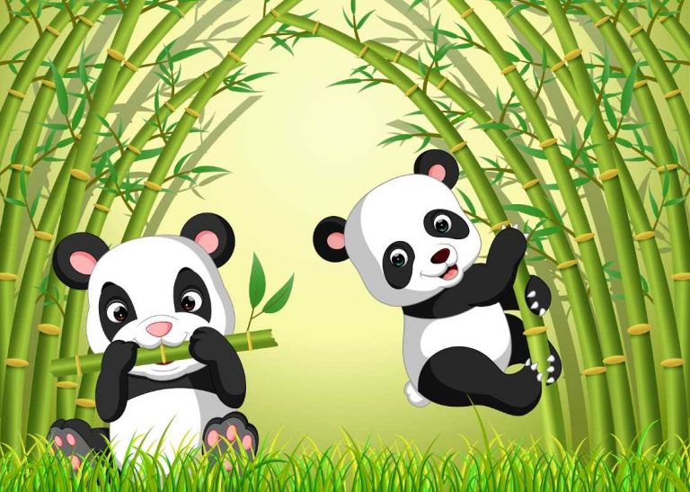 Panda - Poem The Art - Expressing oneself is art