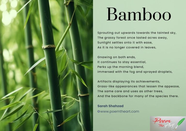 Bamboo - Poem The Art - Expressing oneself is art
