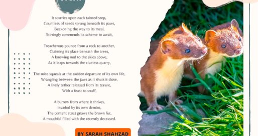 Lion - Poem The Art - Expressing oneself is art